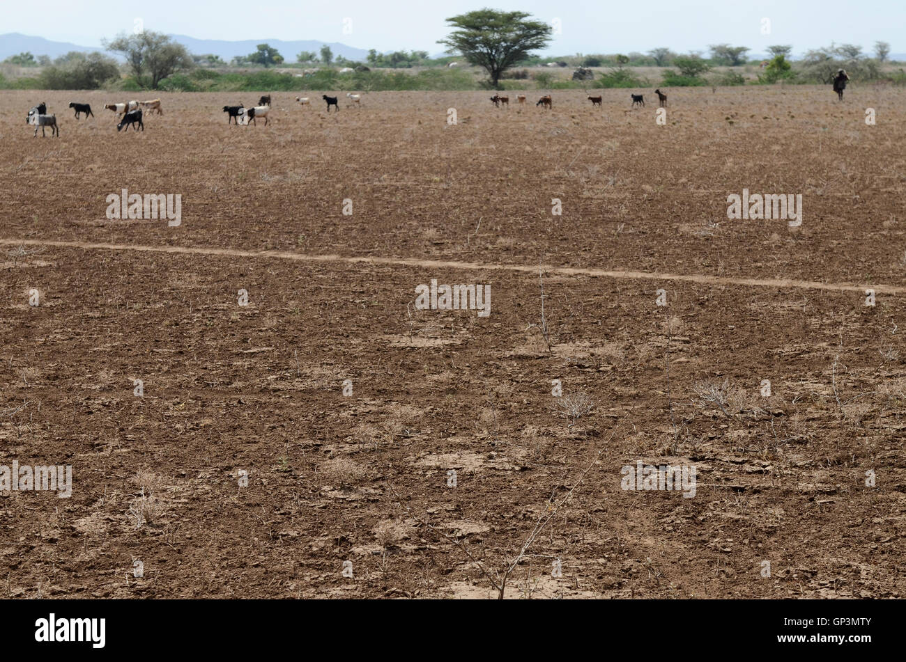 KENYA Turkana Region, Kakuma , Turkana a nilotic tribe, the region ...