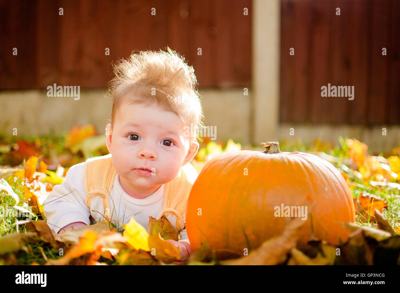 Cute baby girl with pumpkin in autumn garden covered with colorful ...