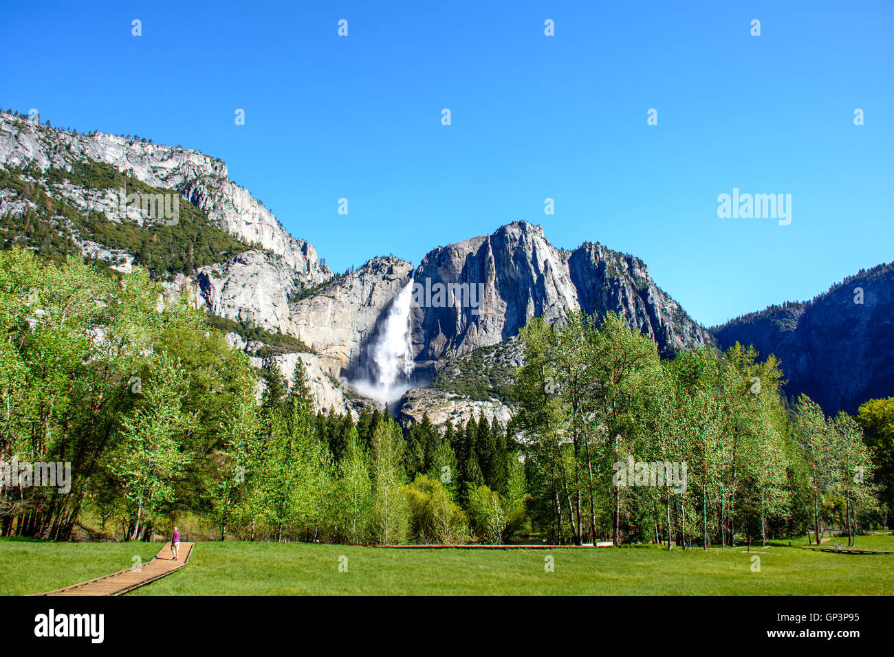I am glad to take amazing shots at the amazing Yosemite National Park ...