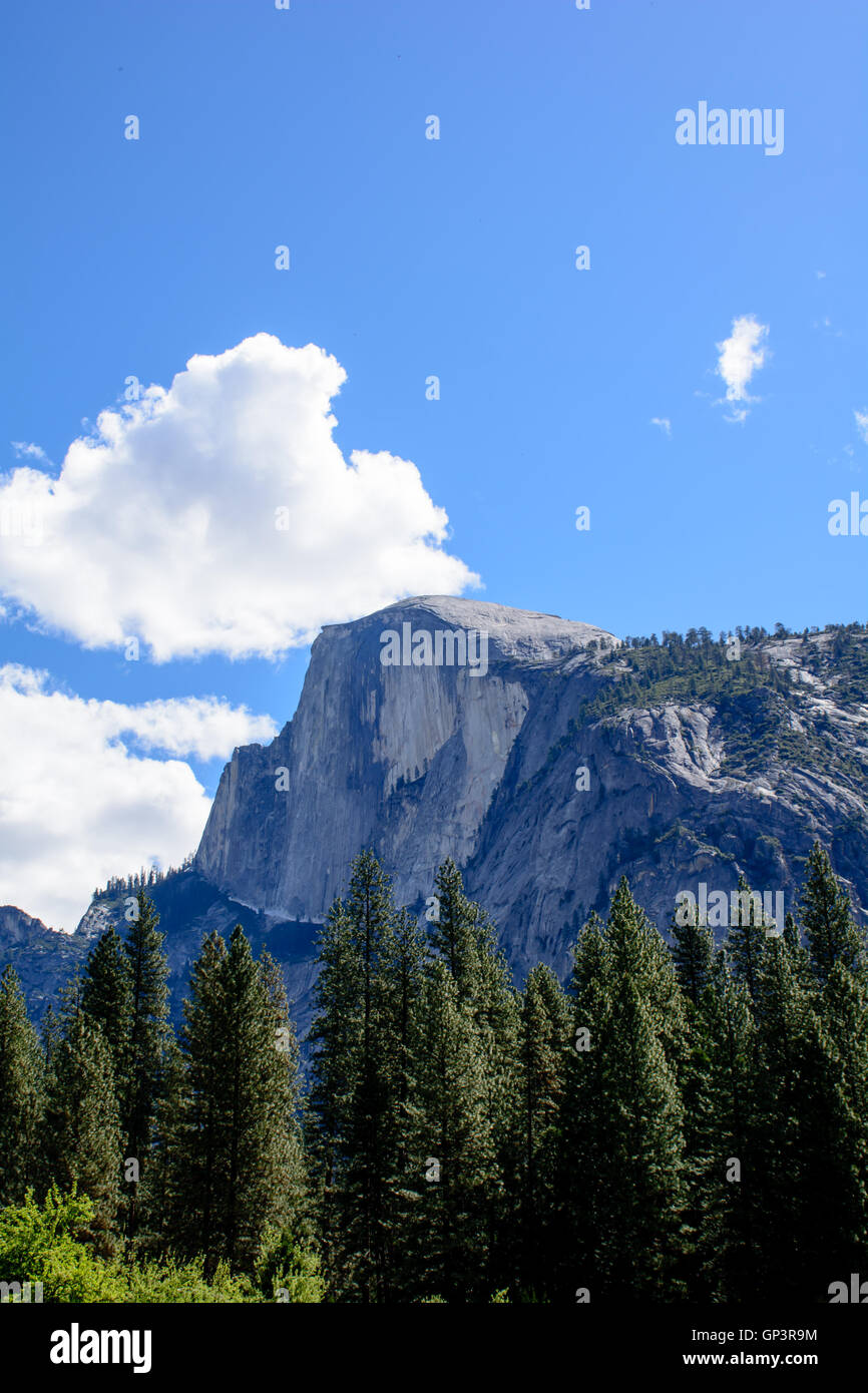 I am glad to take this amazing shot at the amazing Yosemite National ...