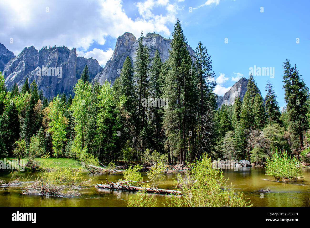 I am glad to take this amazing shot at the amazing Yosemite National ...