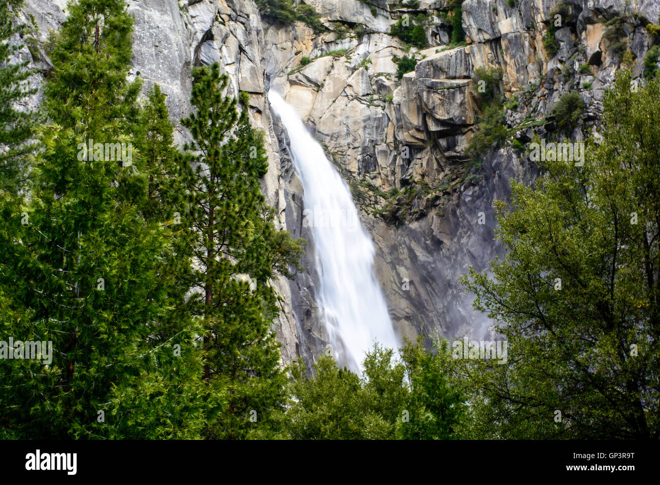 I am glad to take amazing shots at the amazing Yosemite National Park ...