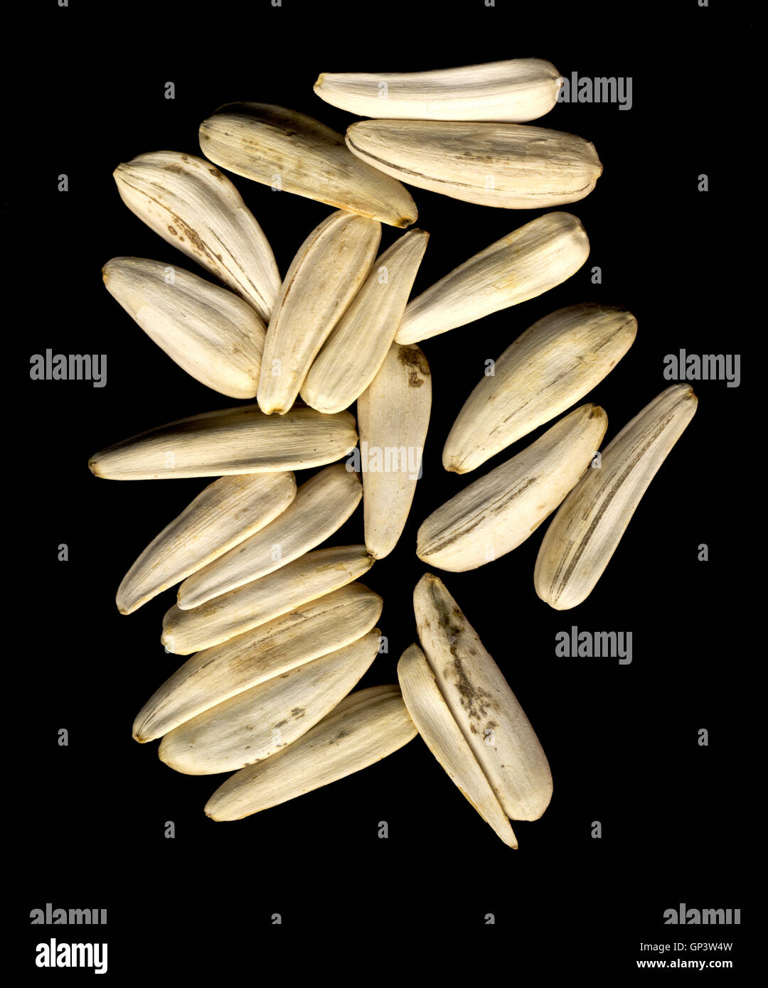 Dry Sunflower Seed Close Up on a Black Background Stock Photo - Alamy