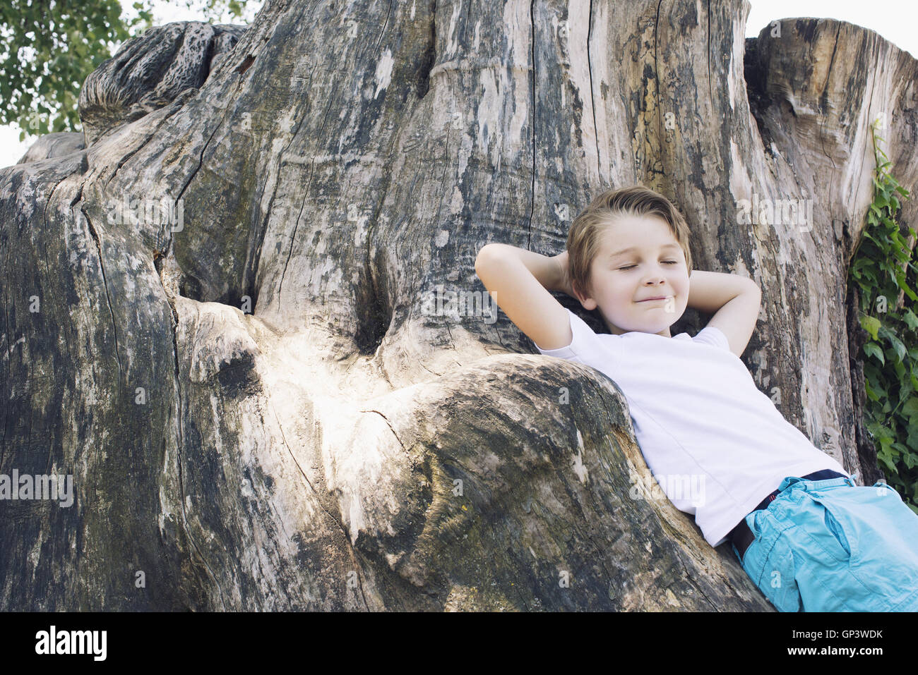 Leaning head against tree trunk hi-res stock photography and images - Alamy