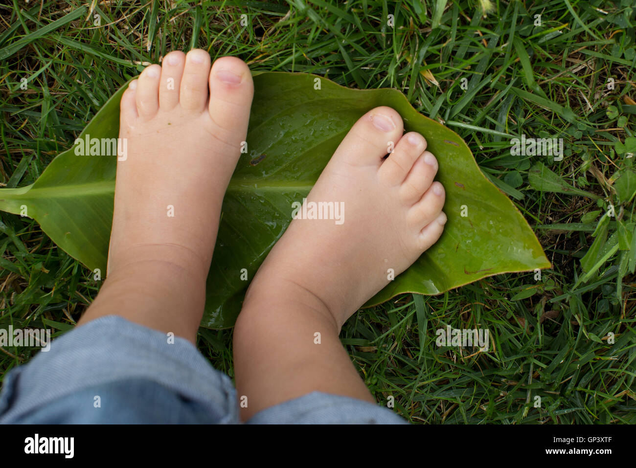 Child's bare feet standing on leaf Stock Photo - Alamy