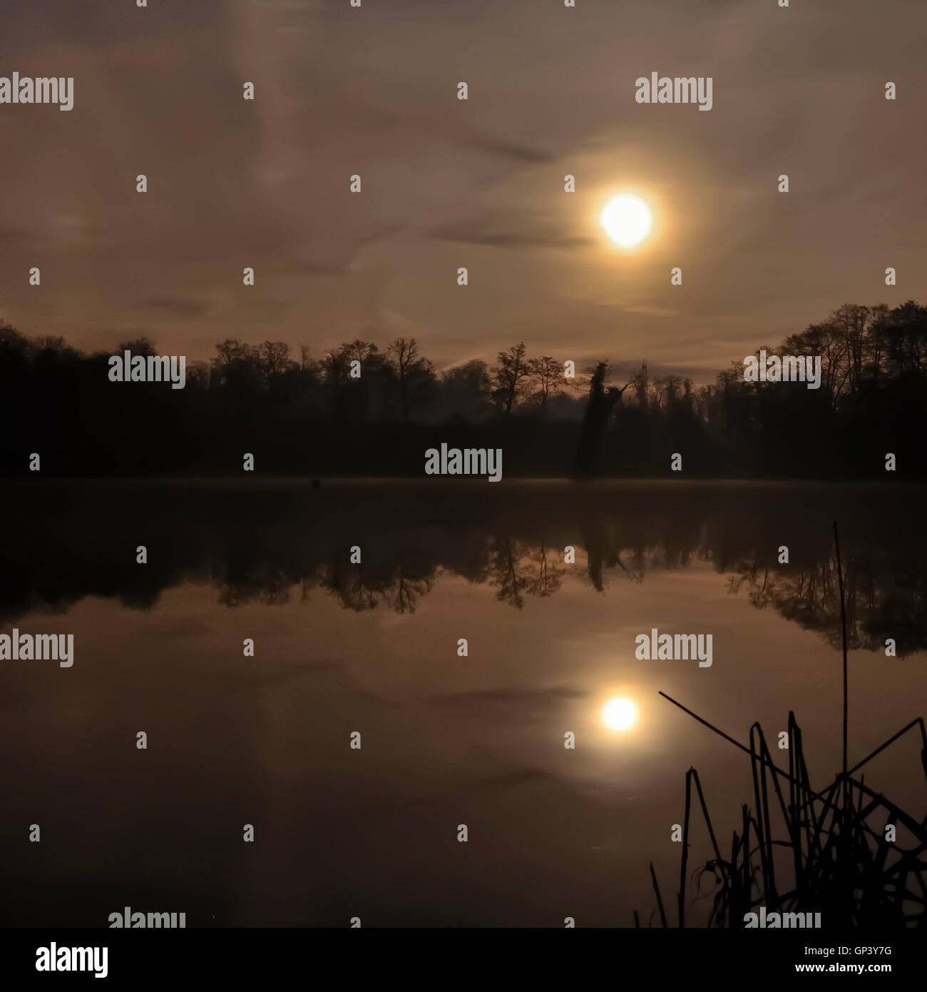 Moonlight Over Needham Lake Stock Photo - Alamy