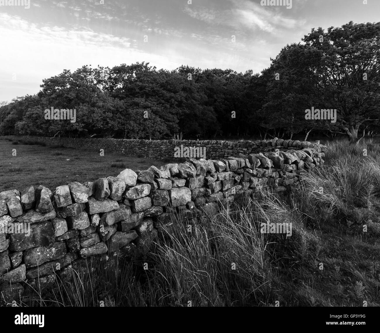 Dry Stone Wall Stock Photo - Alamy