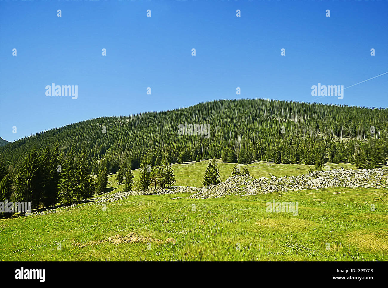 Woods illustration hi-res stock photography and images - Alamy