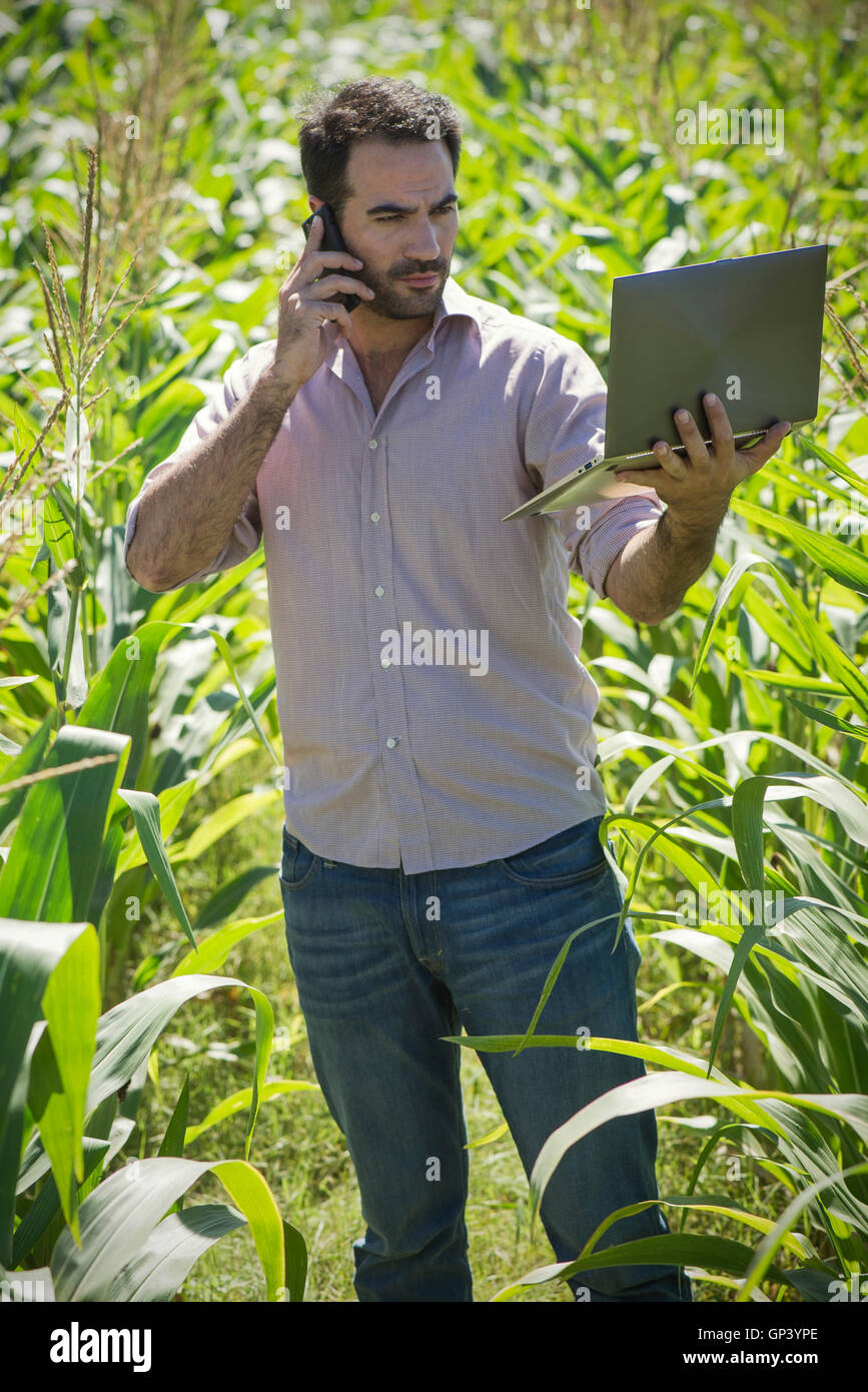Man using laptop computer while standing in cornfield Stock Photo - Alamy