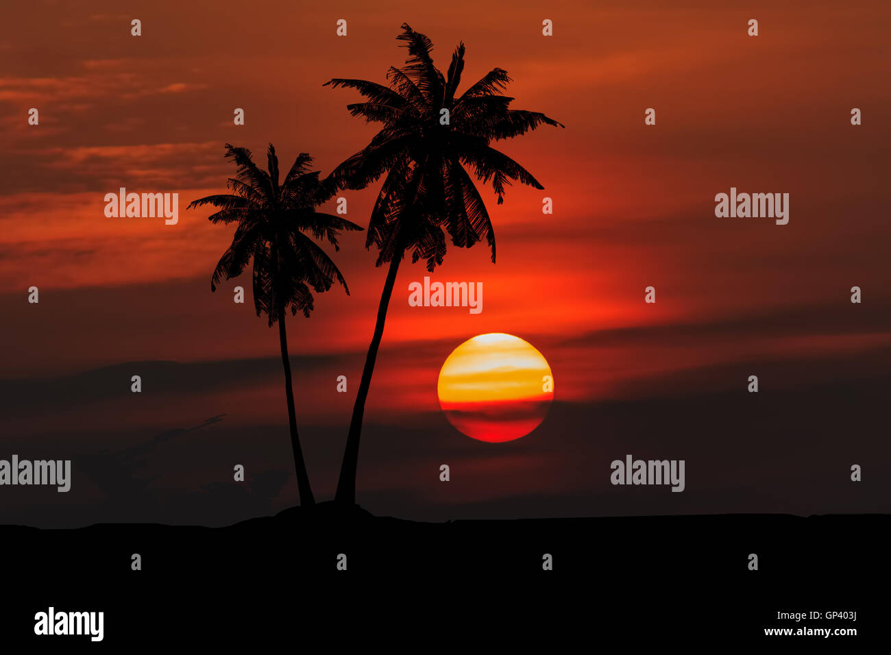 Red sky sunrise tree shadow Stock Photo - Alamy