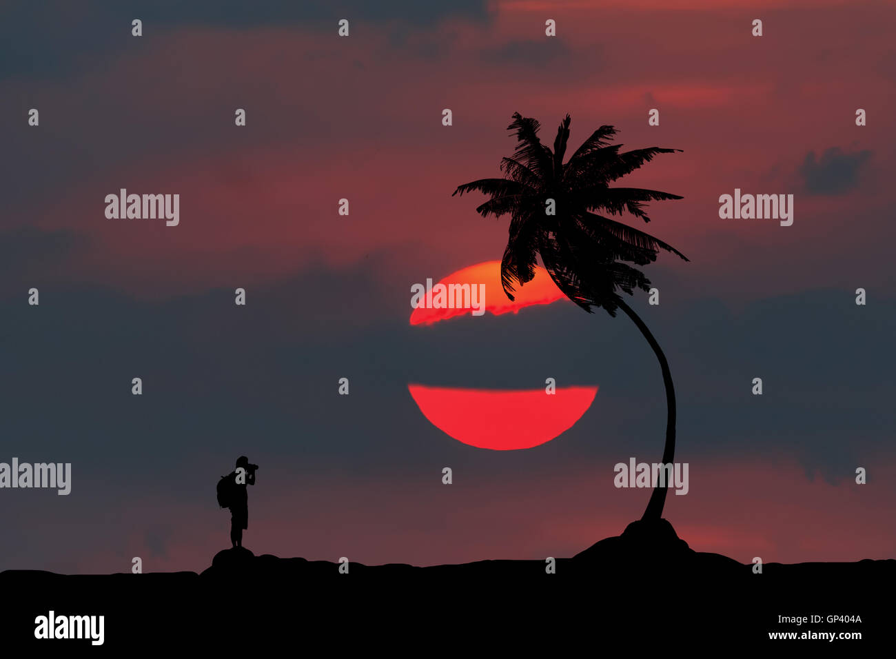 Sky tree shadow hi-res stock photography and images - Alamy