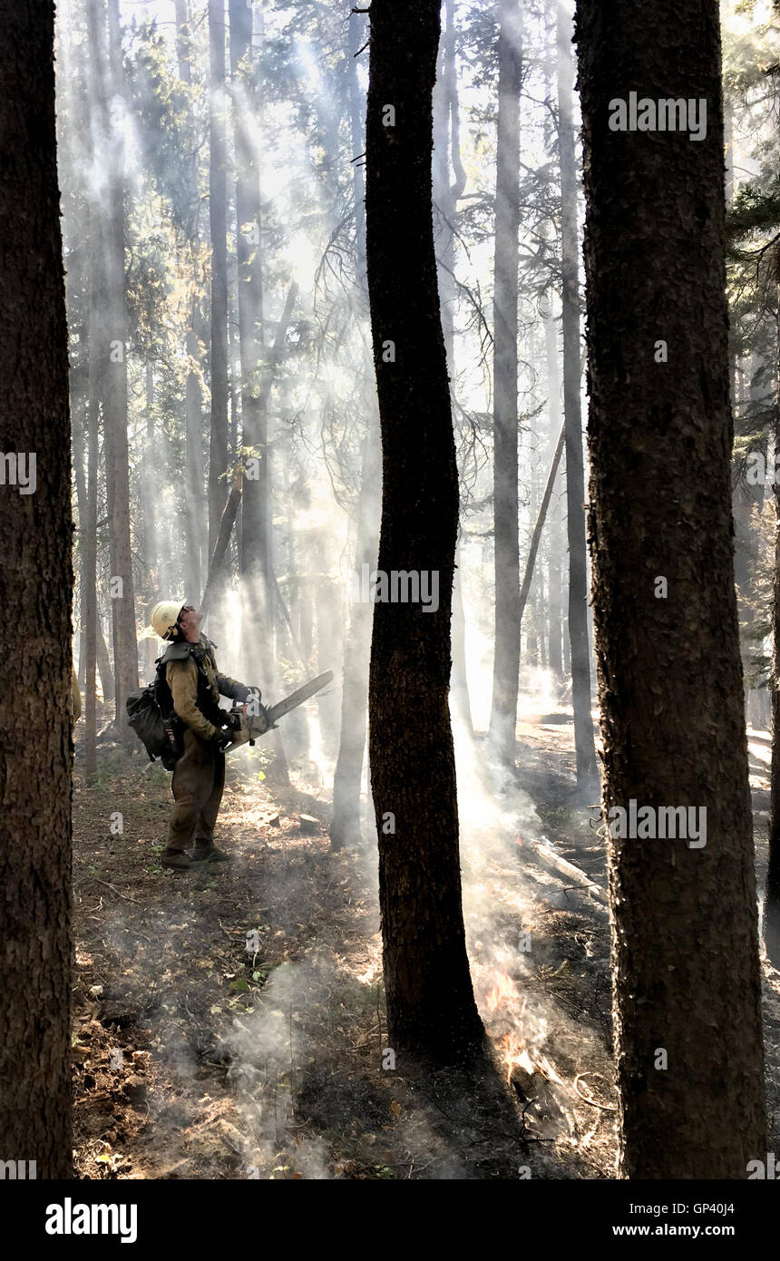 Alpine hotshot firefighter hi-res stock photography and images - Alamy