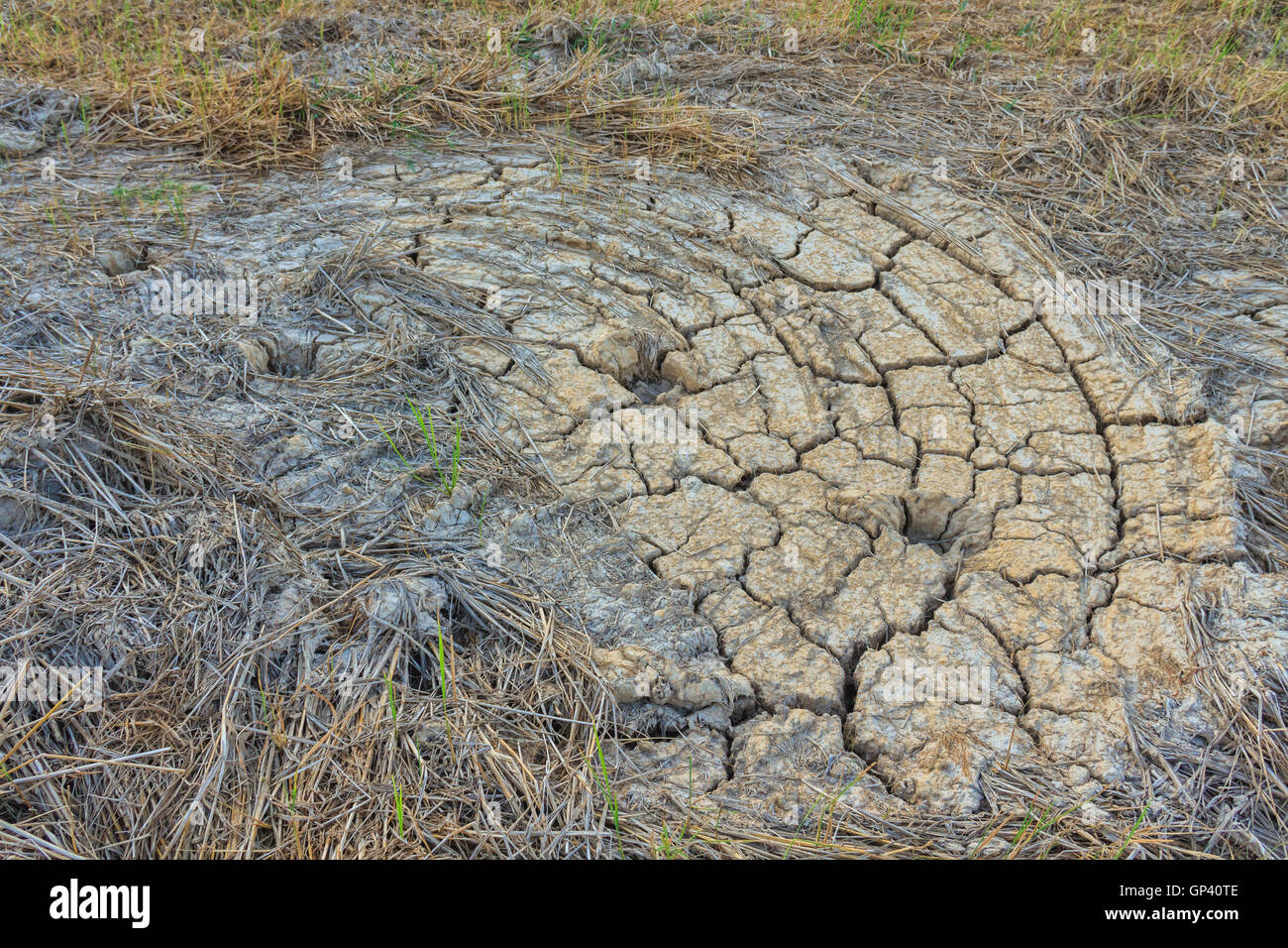 Break ground hi-res stock photography and images - Alamy