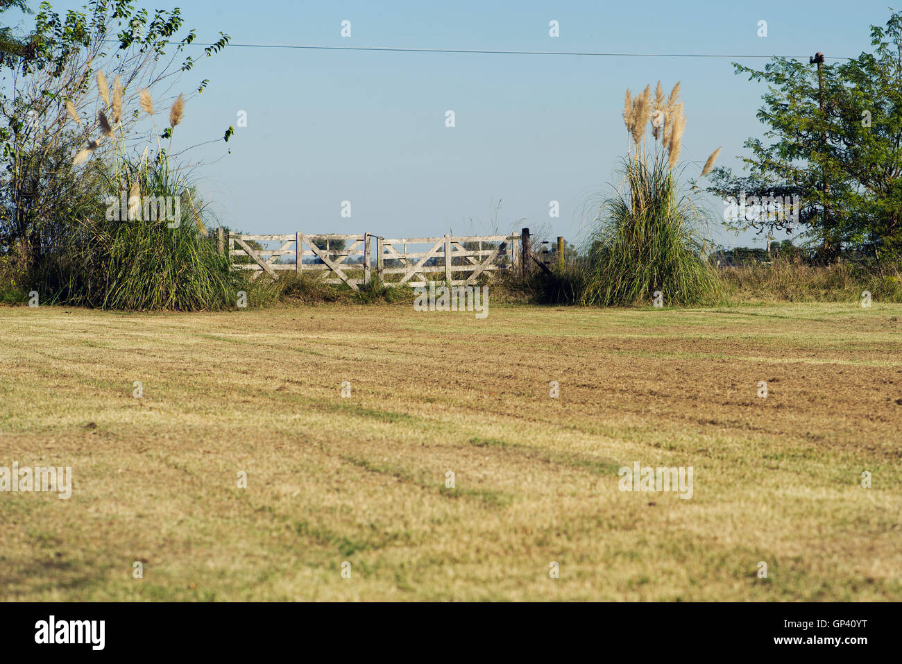 Grazing land without fences hi-res stock photography and images - Alamy