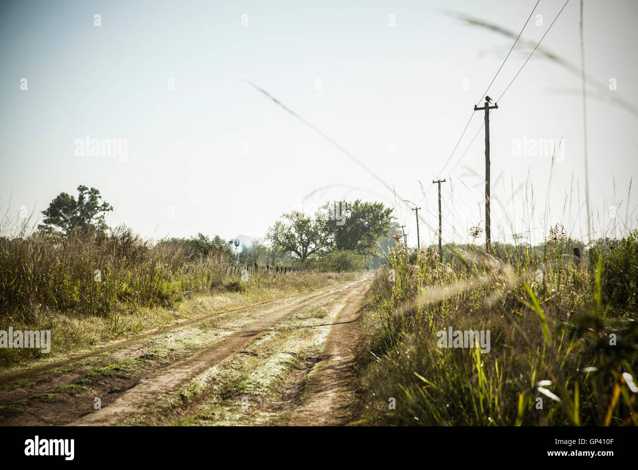 Long shot dirt road hi-res stock photography and images - Alamy
