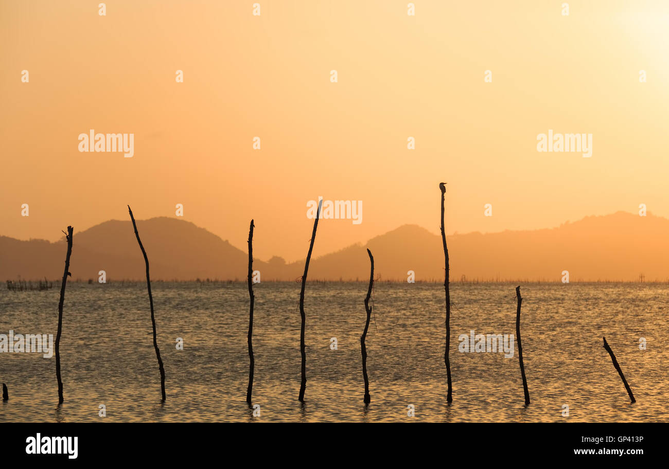 Colorful sunset sky clouds tree shadows Stock Photo - Alamy