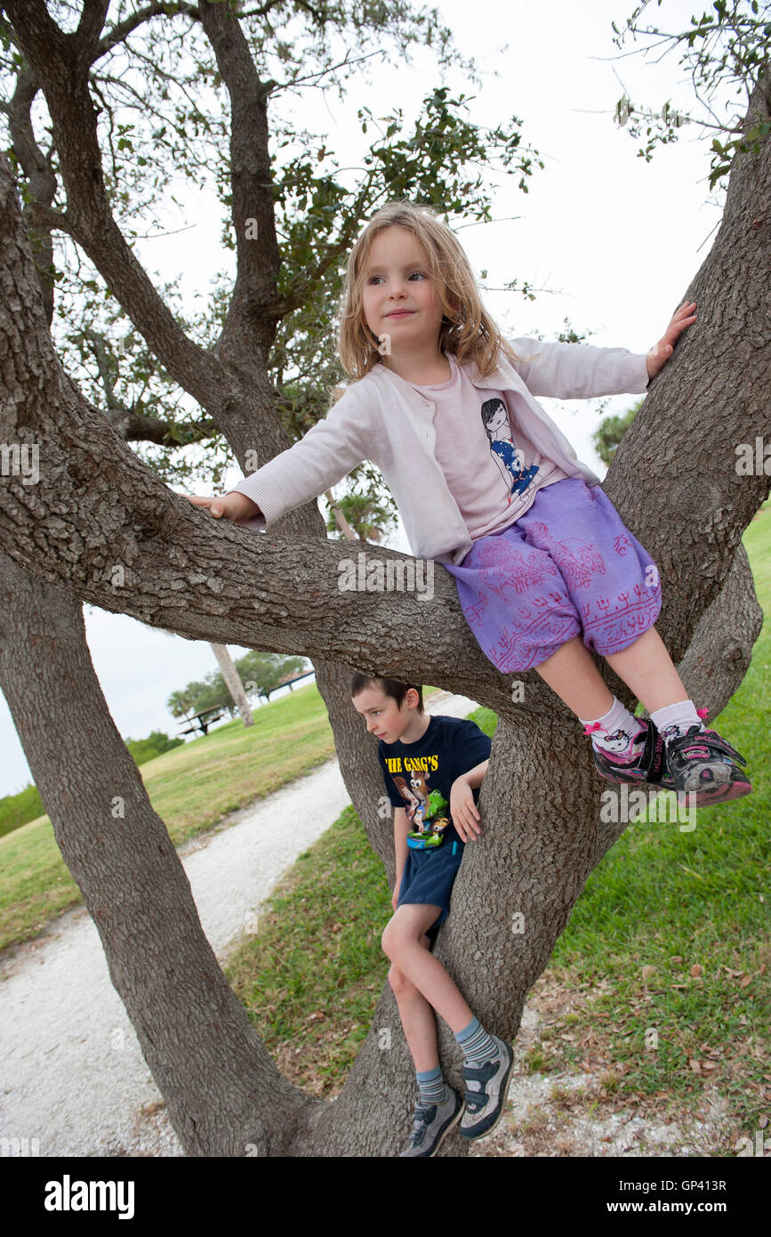 Children sitting on tree branches Stock Photo - Alamy
