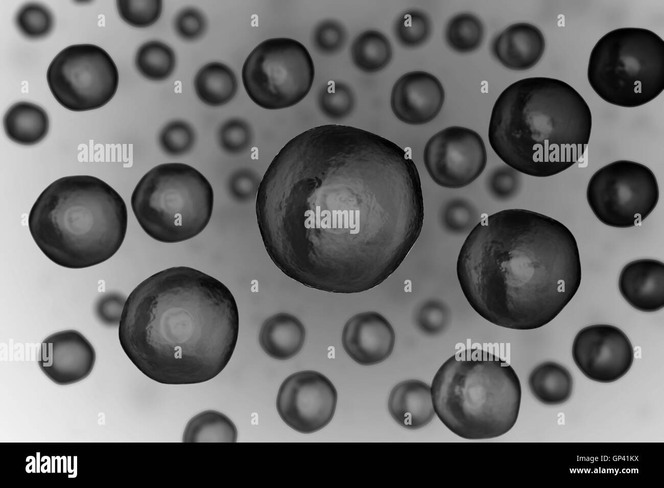 Dna cleavage illustration Black and White Stock Photos & Images - Alamy