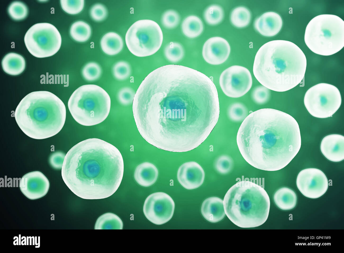 Cell under microscope. Life and biology, medicine scientific, molecular ...