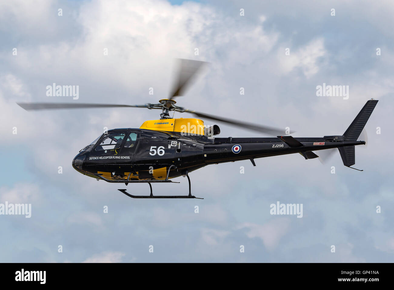 Royal Air Force (RAF) Eurocopter AS-350BB from the Defense Helicopter ...