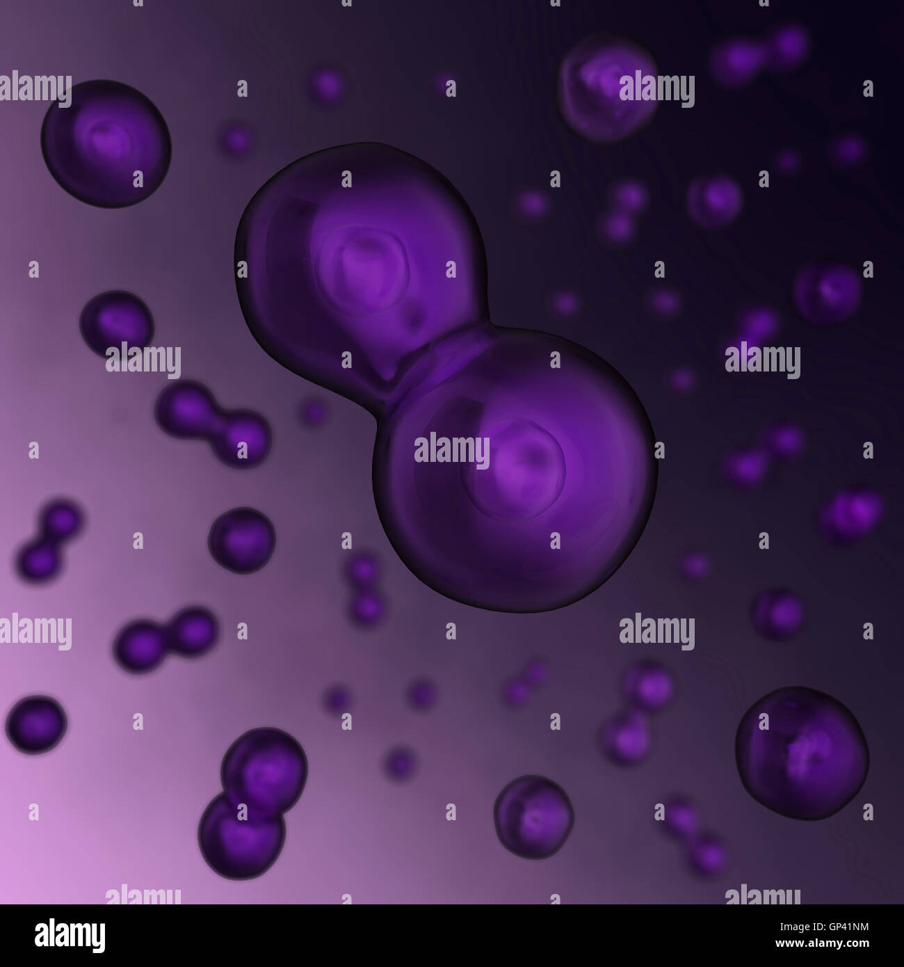 Cell divides into two cells, scientific backgorund. 3d illustration ...