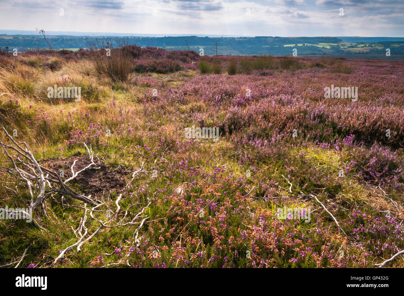 Looking east from Blakey Ridge above Hutton-le-hole in the North ...
