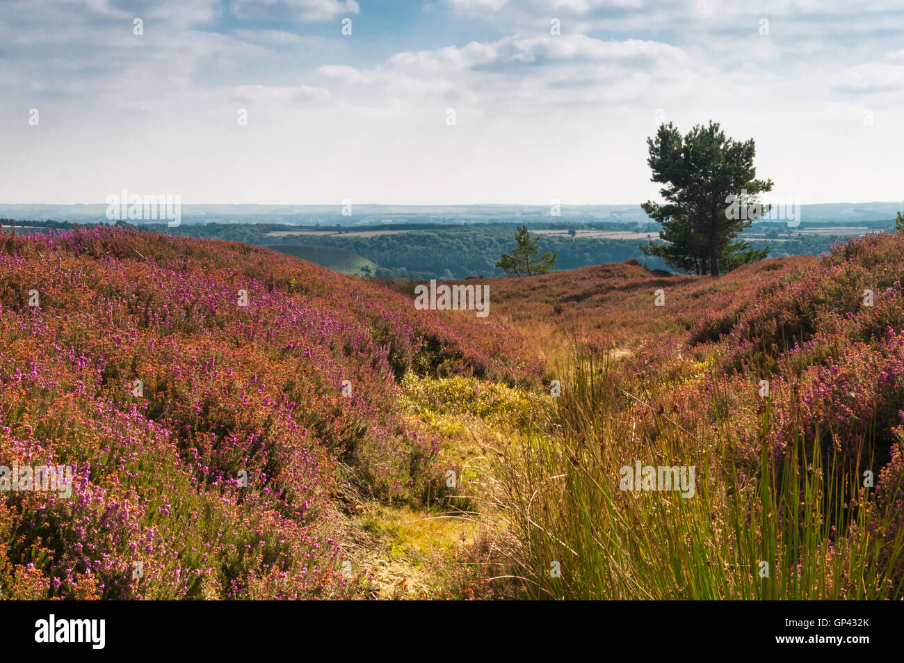 Looking south from Blakey Ridge above Hutton-le-hole in the North ...