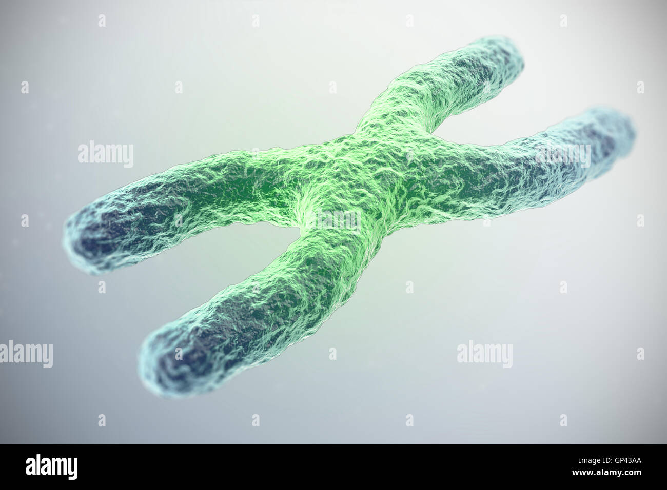 X chromosome, green in the center, the concept of infection, mutation ...