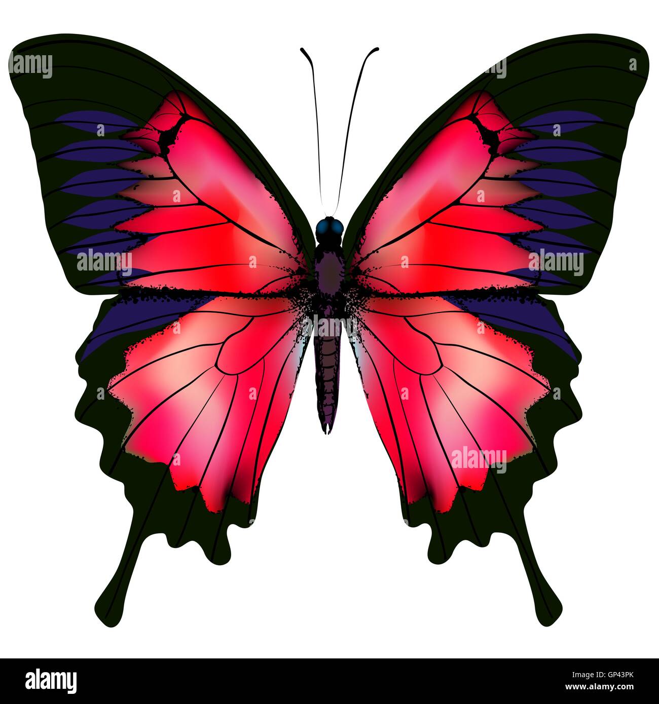 Butterfly light purple Cut Out Stock Images & Pictures - Alamy