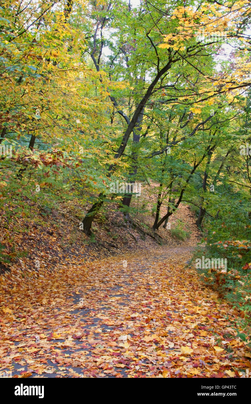 Pathway in the Autumn Stock Photo - Alamy