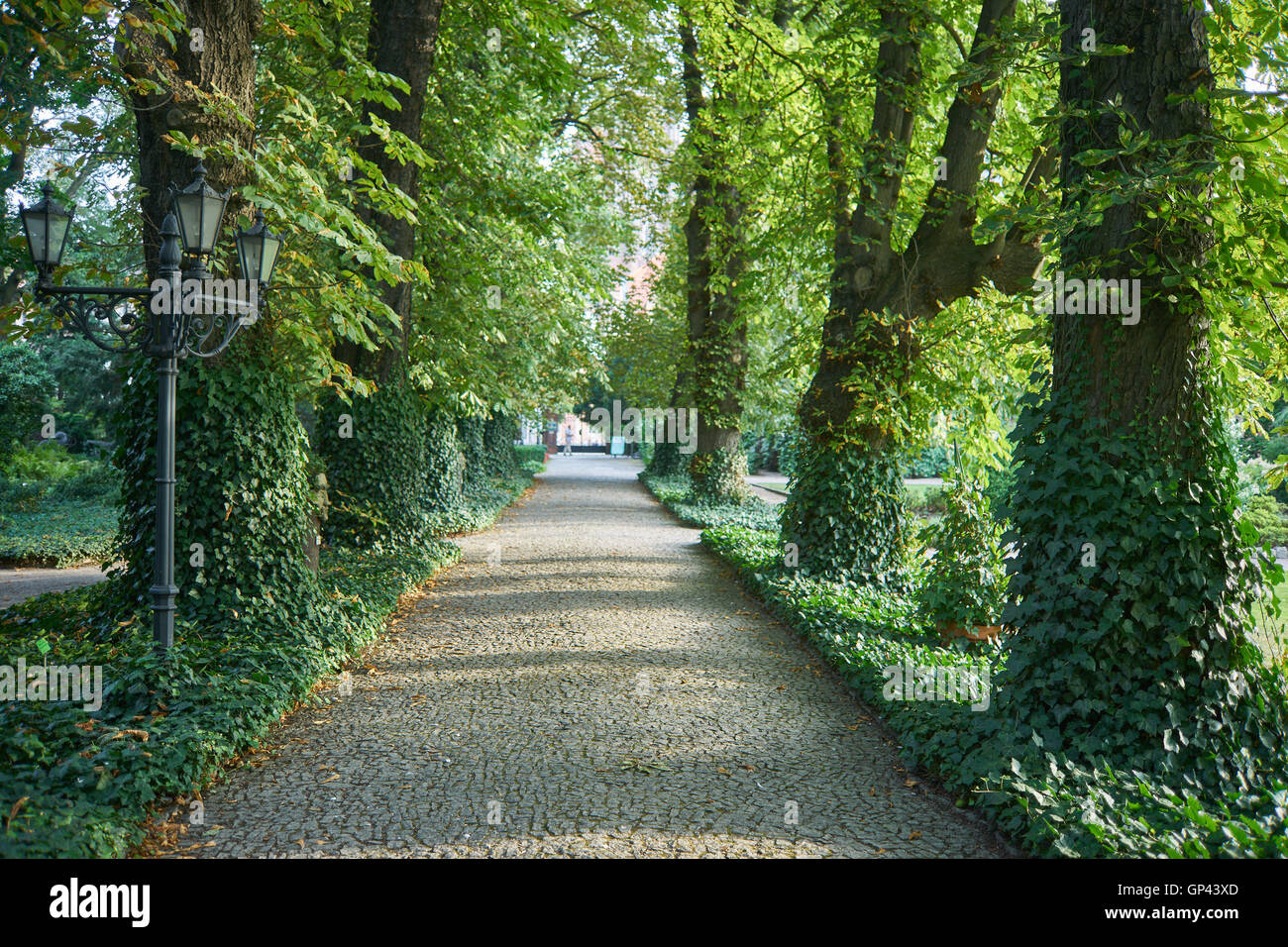 Botanical Gardens in Wroclaw Stock Photo - Alamy