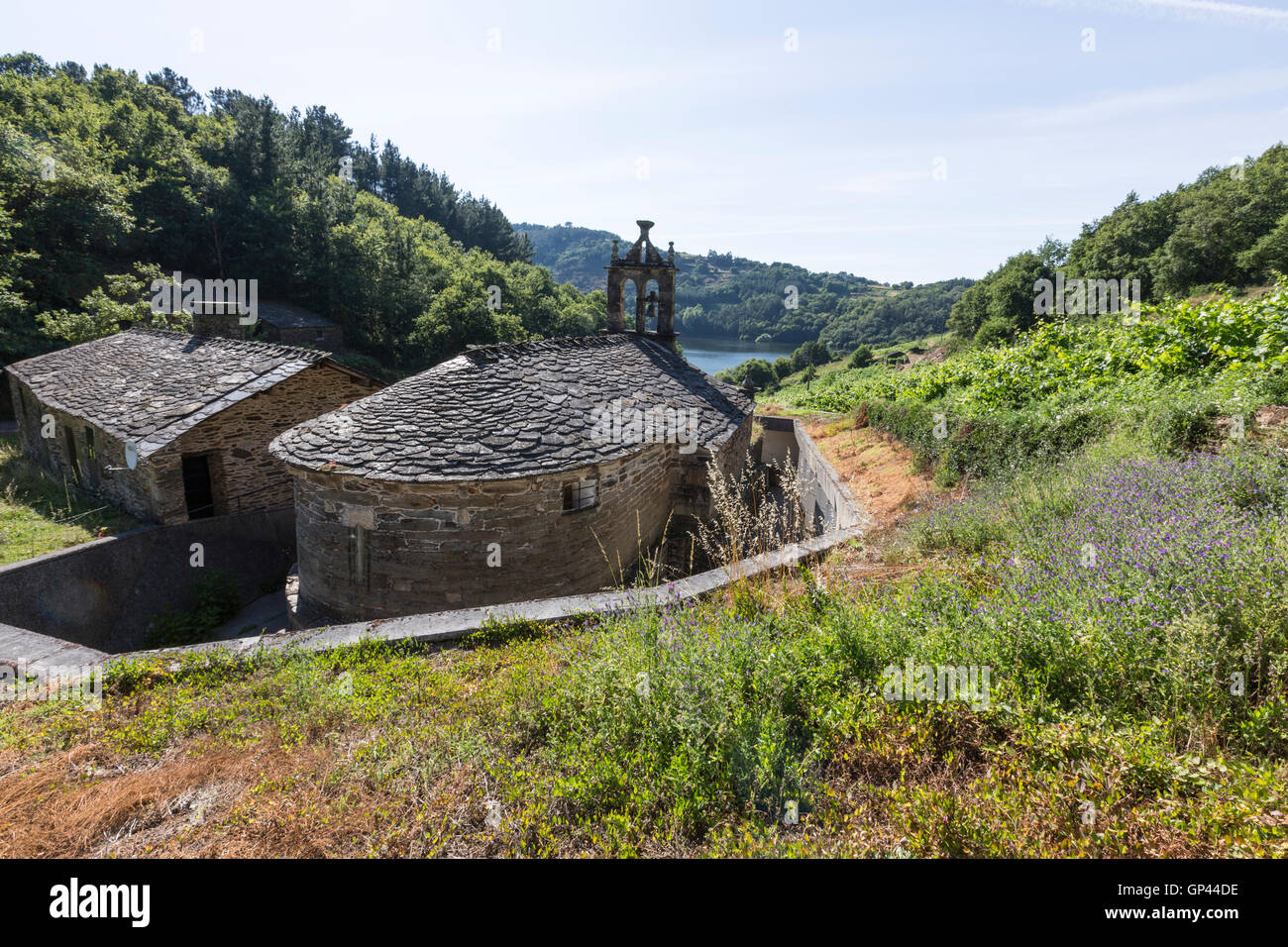 San Facundo de Ribas de Miño sourounding with Grapes of Ribera Sacra DO ...
