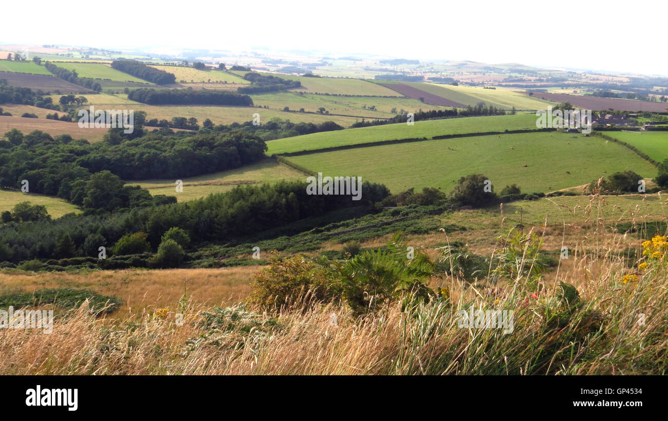 Rothbury northumberland england hi-res stock photography and images - Alamy