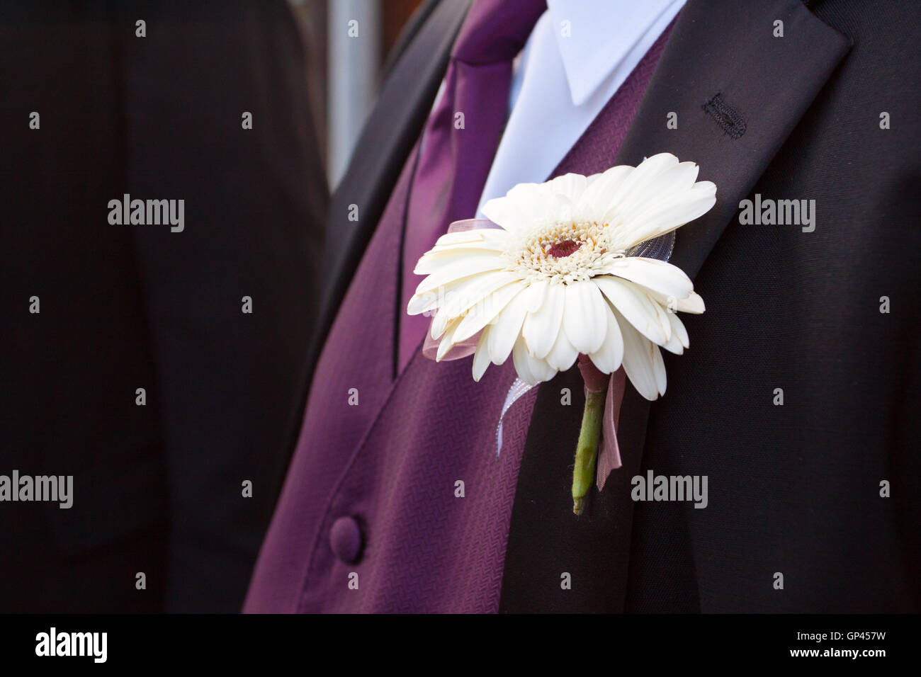 White Boutineer Flower Stock Photo - Alamy