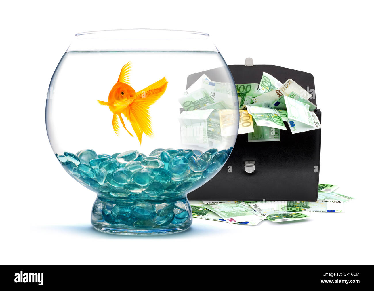 Goldfish with money Stock Photo - Alamy