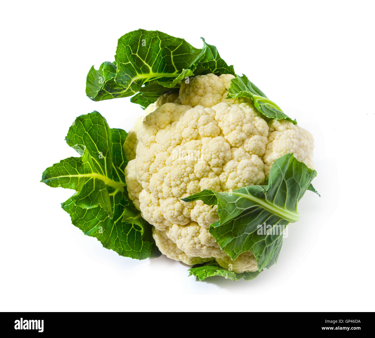 Adult eating flower Cut Out Stock Images & Pictures - Alamy