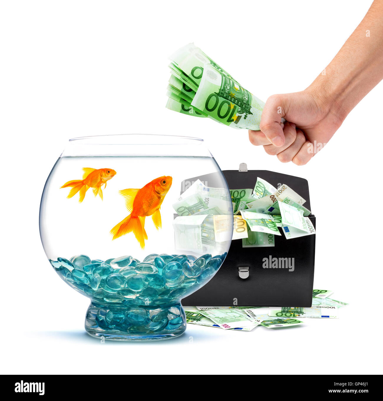 Goldfish with money Stock Photo - Alamy