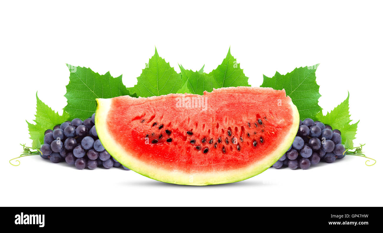 Watermelon vine isolated hi-res stock photography and images - Alamy