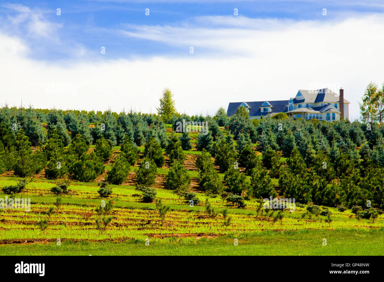 Tree Farm House Ranch Stock Photo - Alamy