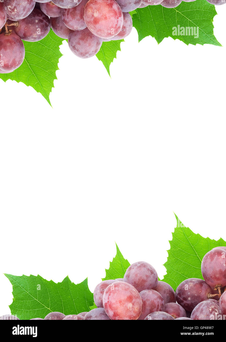 Grape frame hi-res stock photography and images - Alamy