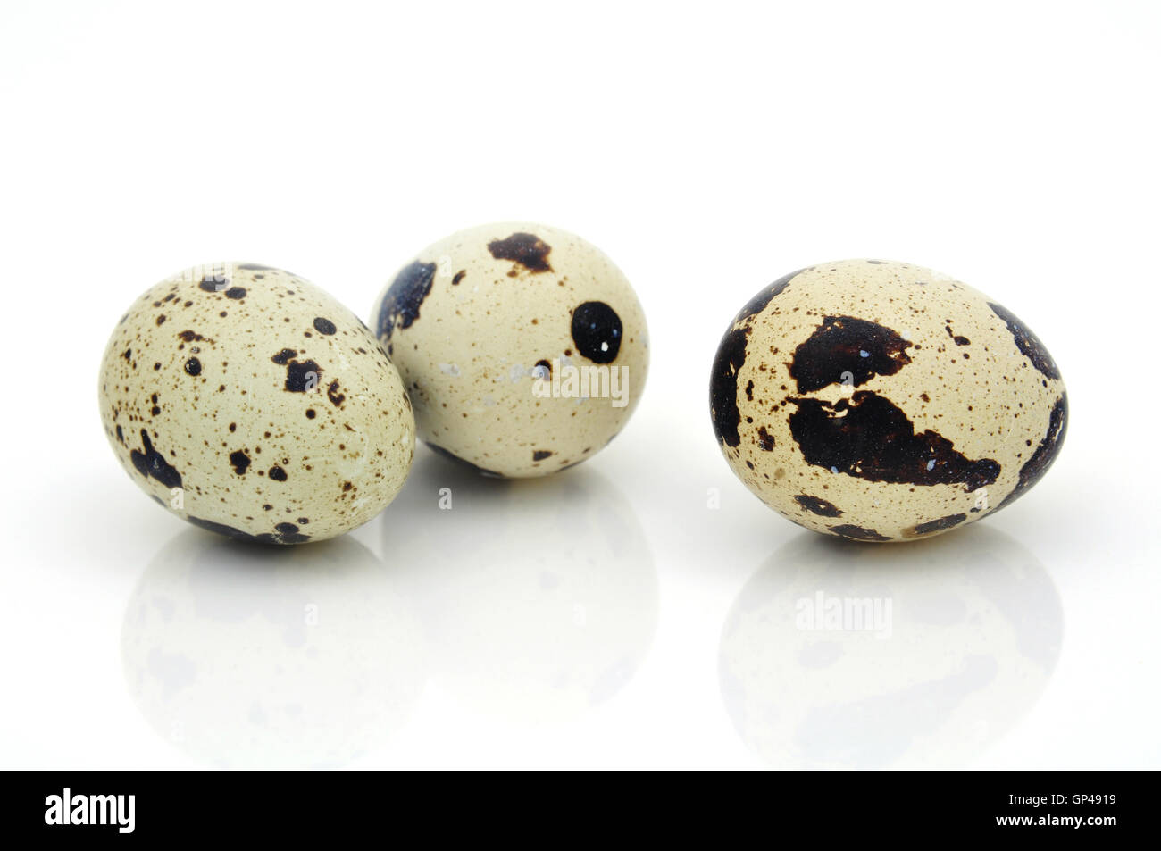 Mottled egg hi-res stock photography and images - Alamy
