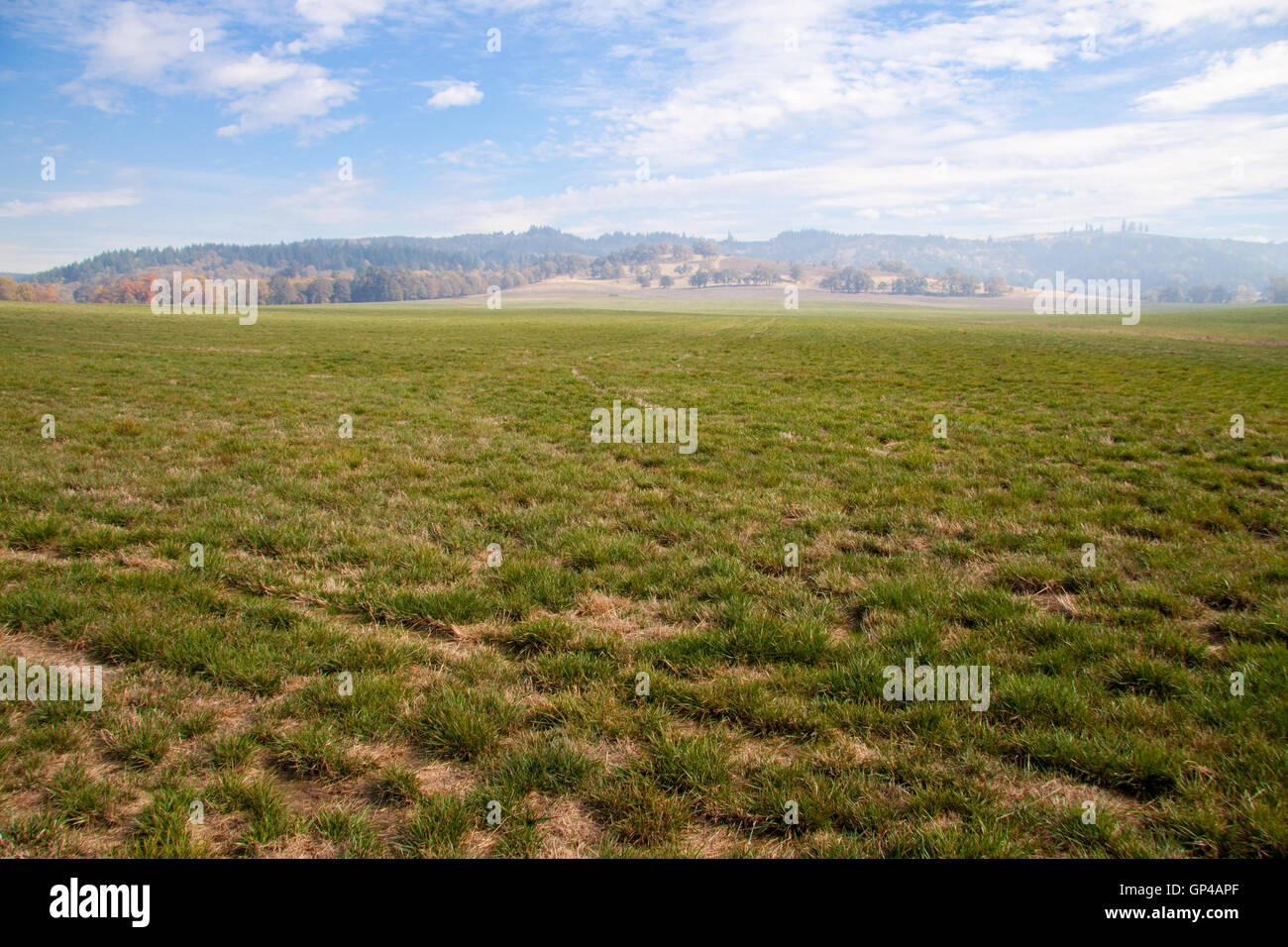 Large Field 1 Stock Photo - Alamy