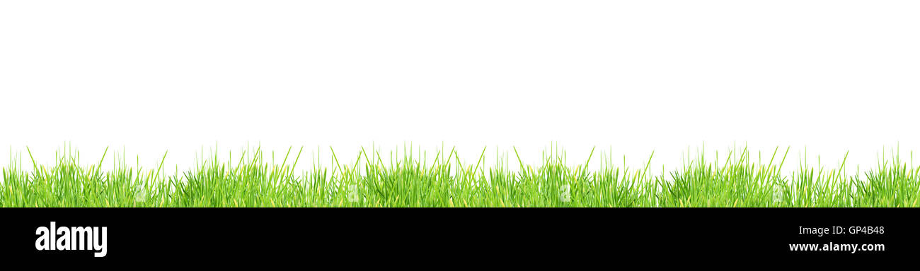 Isolated green grass Stock Photo - Alamy