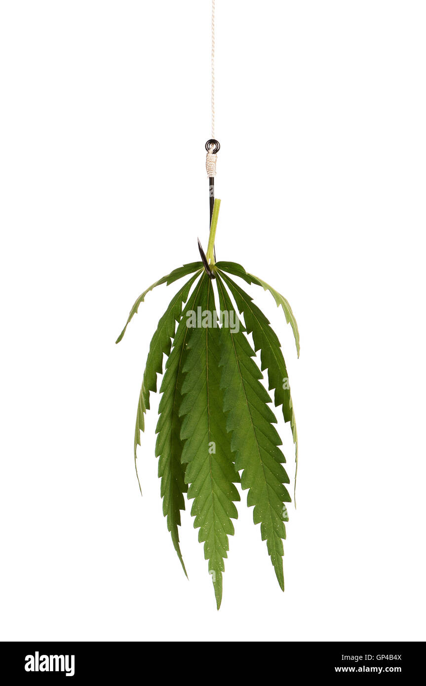 Fish fishing grass catch Cut Out Stock Images & Pictures - Alamy