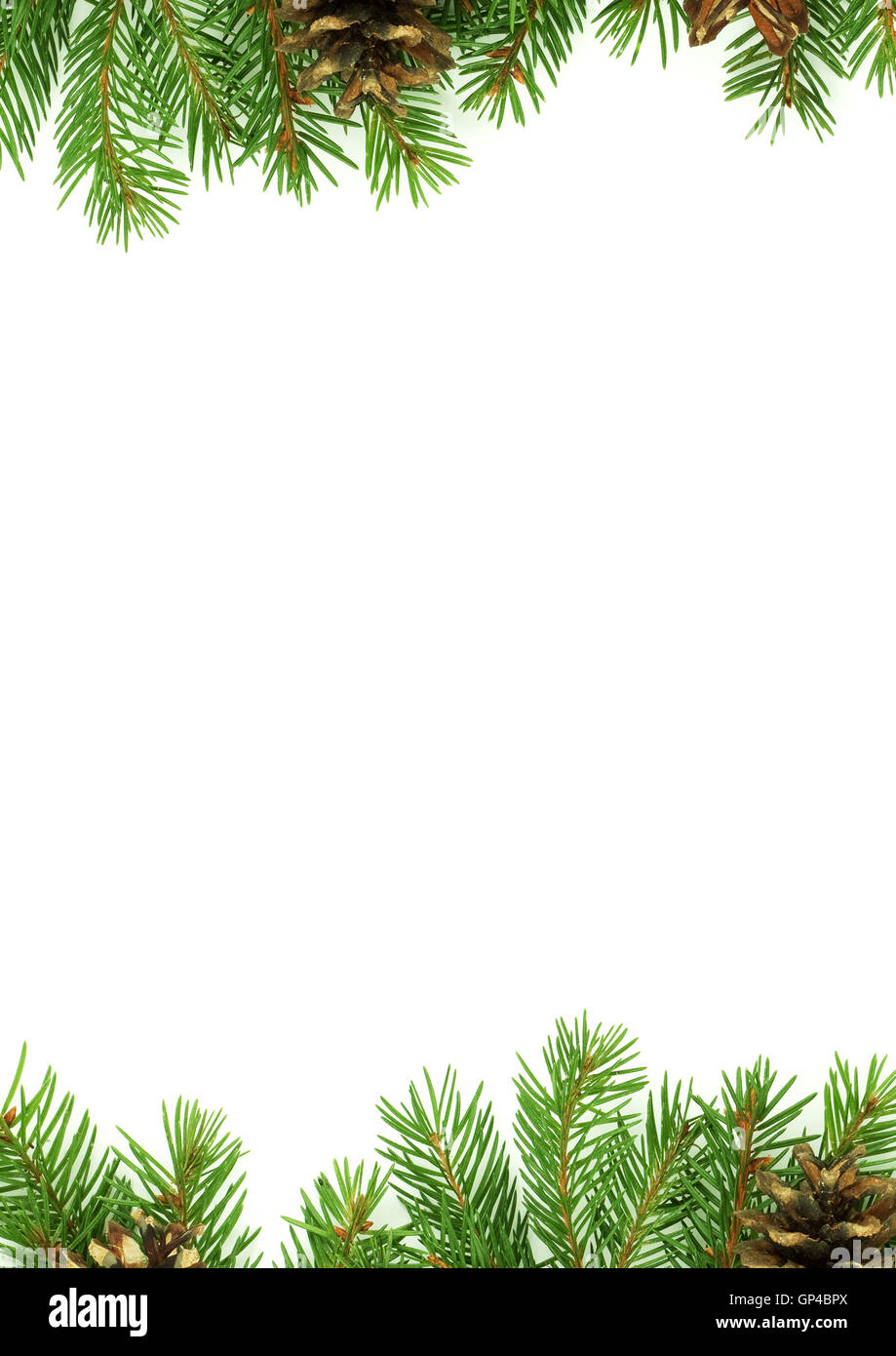 Christmas framework with snow and cones Stock Photo - Alamy