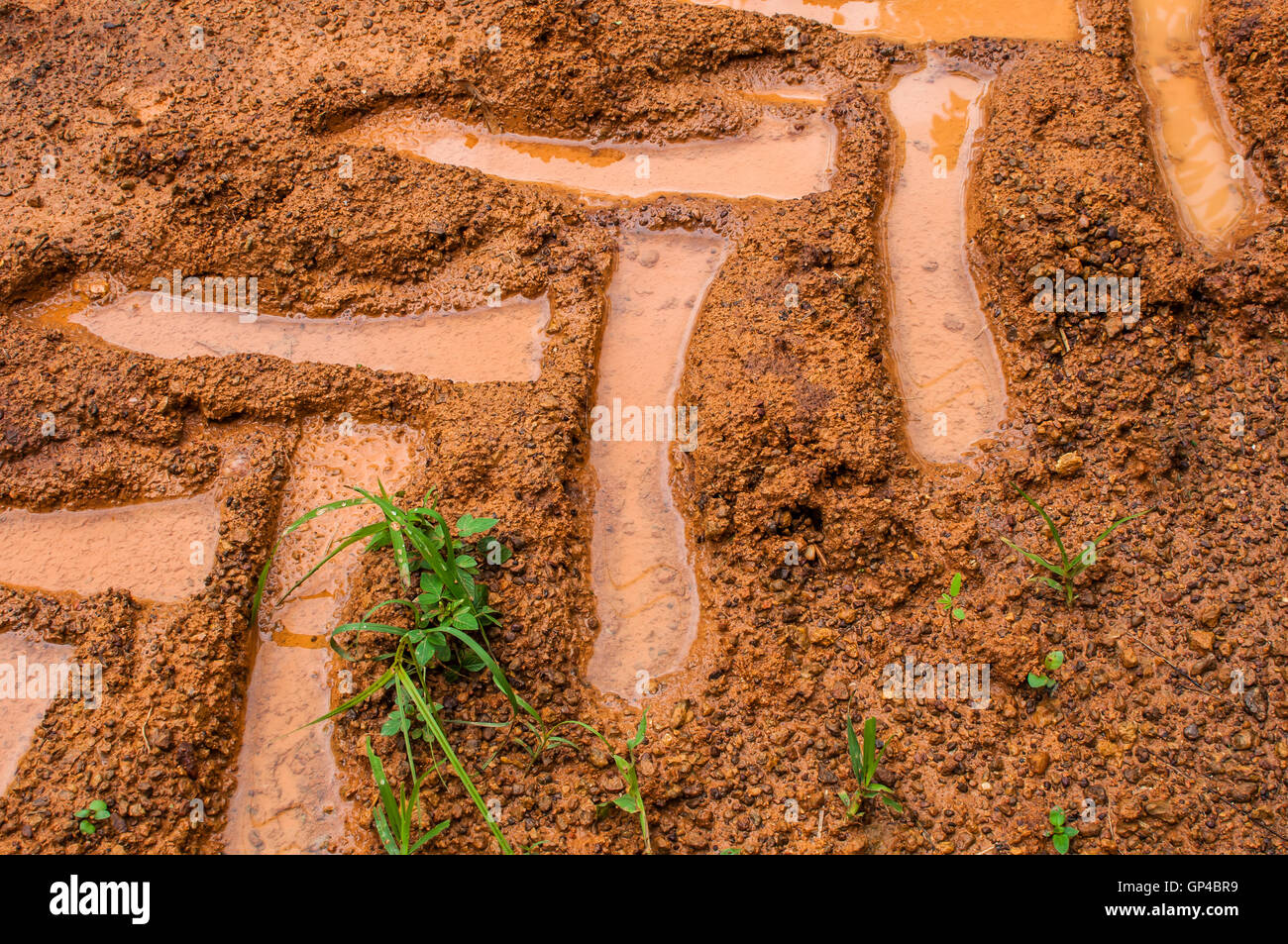 Tractor trail closeup on the soil Stock Photo - Alamy
