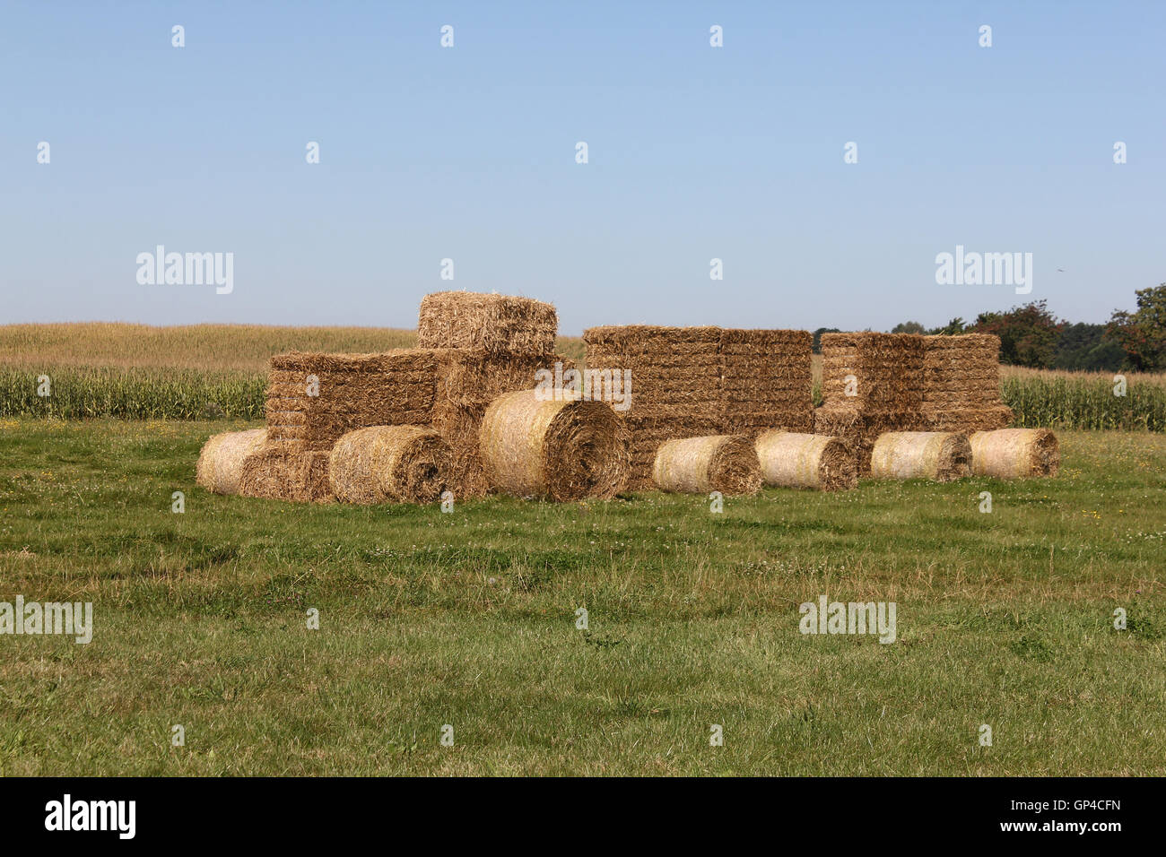 Tractor hay hi-res stock photography and images - Alamy
