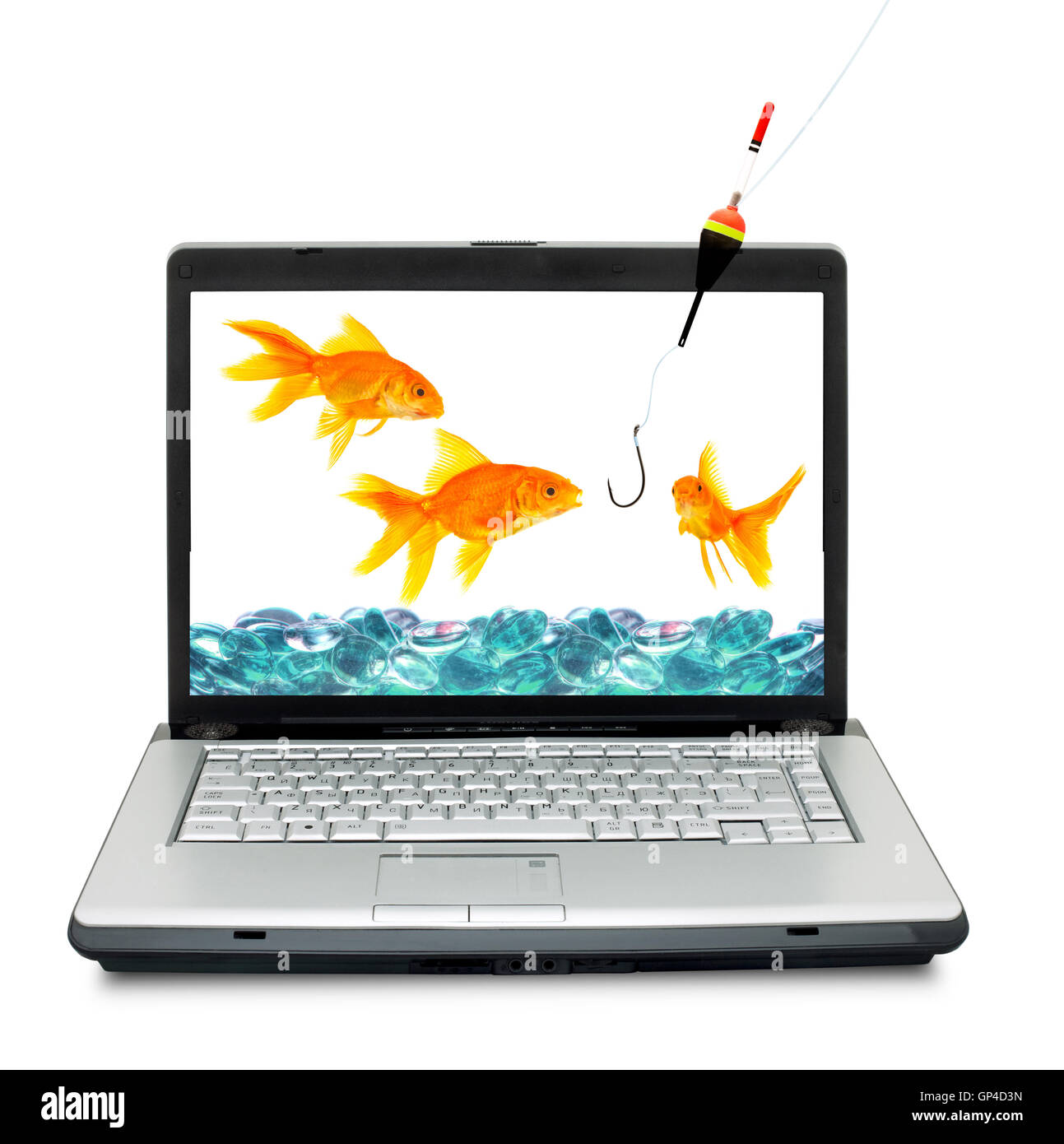 Goldfish in aquarium Stock Photo - Alamy