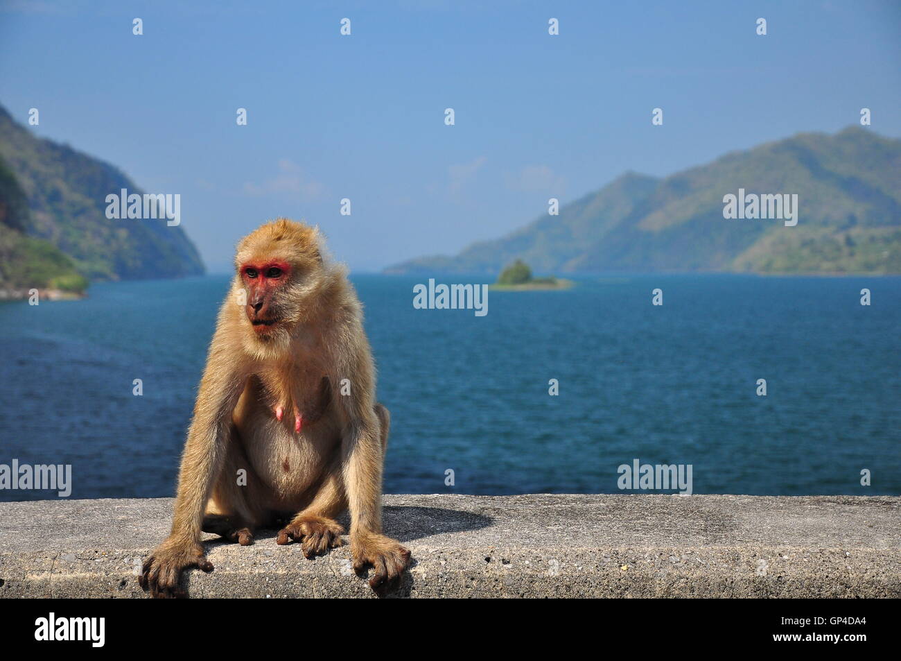 Tropic dam hi-res stock photography and images - Alamy