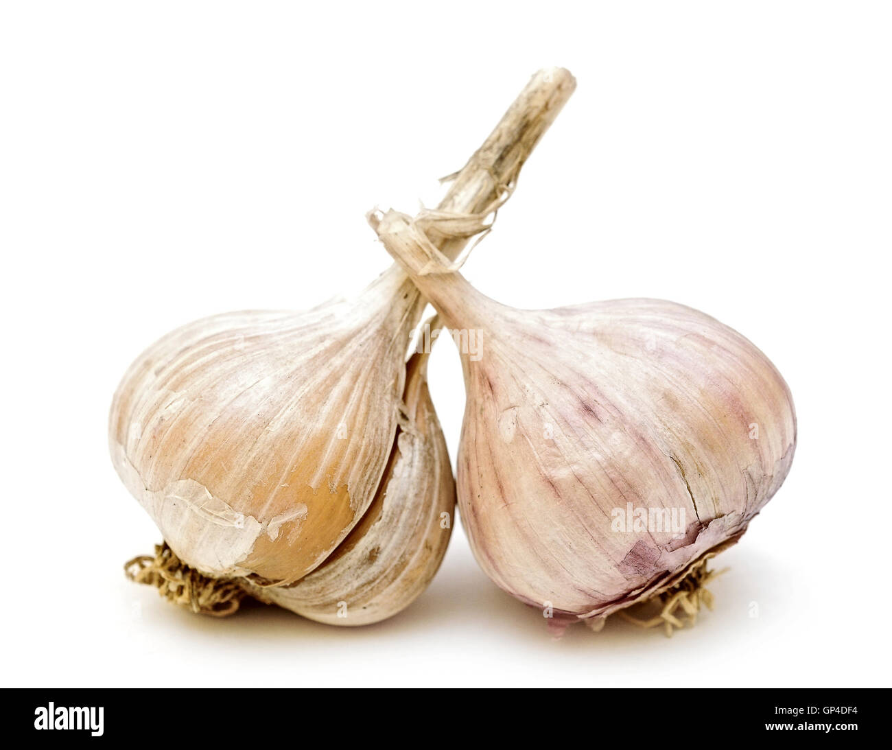 Garlic on white background Stock Photo - Alamy